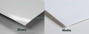 C2S - Art Paper Manufacturer | Supplier | Exporter | Traders