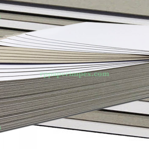 Greyback Duplex Board Manufacturer | Supplier | Exporter | Traders